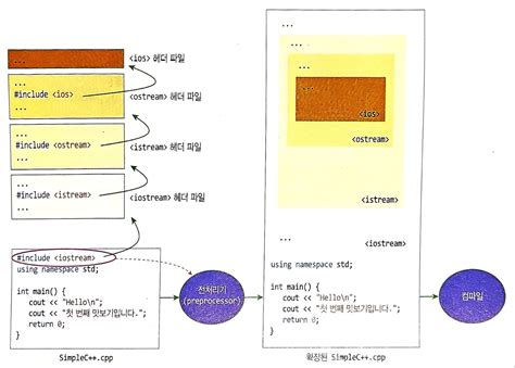 C C 프로그래밍의 기본