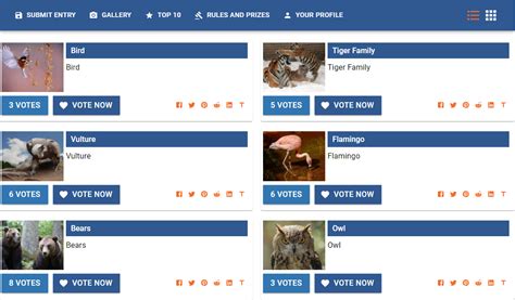 List View Grid View Overview For WordPress Voting Contest Plugin