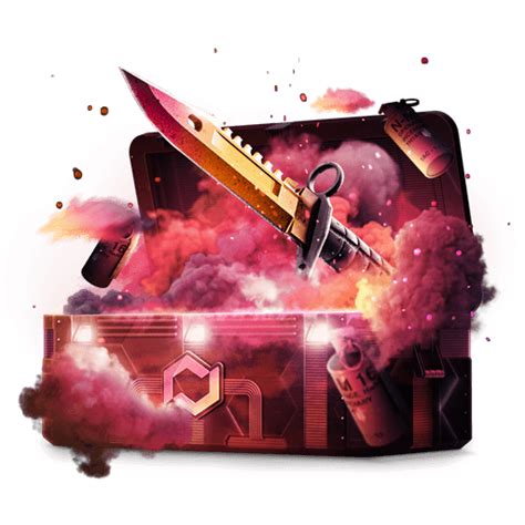 CSGO NET Open The Best CS GO CS2 Cases