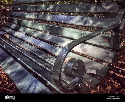 Old Bench In The Woods Stock Photo Alamy