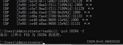 在访问程序时如果8080端口被占用怎么办？ 释放8080端口 csdn博客