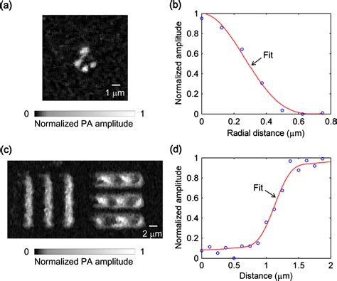 Reflection Mode Submicron Resolution In Vivo Photoacoustic Microscopy