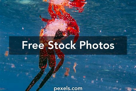 Shellfish Aquaculture Photos Download The Best Free Shellfish