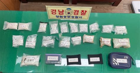 수십억 필로폰 밀수하고 유흥업소서 투약한 내·외국인 6명 구속