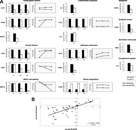 validation of microarray results by rtqpcr a relative mrna levels