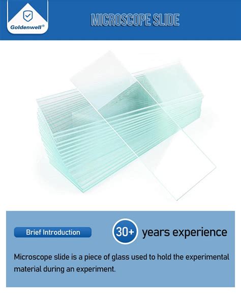 China Anatomy Microscope Slides Suppliers Factory Customized Anatomy China Anatomy Microscope Slides Suppliers Factory Customized Anatomy