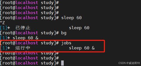 Linux进程操作命令：用于将一个已经停止（挂起）的前台作业放到后台继续运行的命令bg详解bg挂后台运行 Csdn博客
