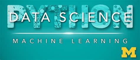 bio data playground