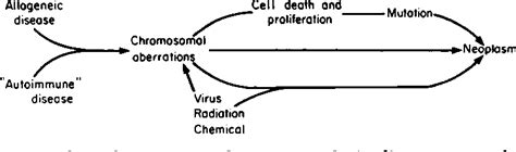 Figure 1 From Oncogenesis Semantic Scholar