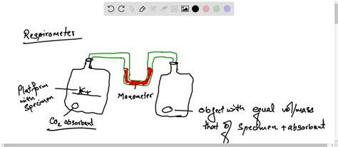 Solved A Respirometer Is Used To Measure How Much Oxygen Is Used Up In Respiration By Organisms