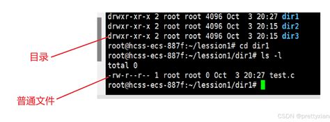 【linux】基础指令 1 Csdn博客