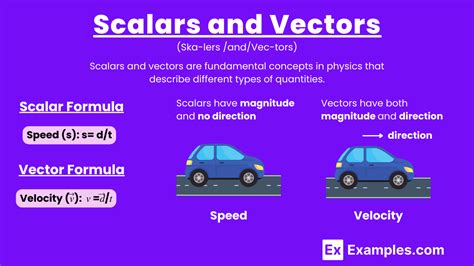 scalars and vectors 25 examples differences properties