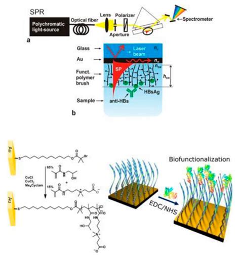 Biosensors Free Full Text Evaluating Hyperbolic Dispersion Materials For Cancer Detection