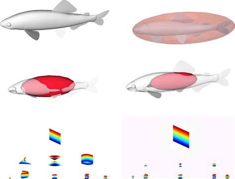 Extraction Process The Minimum Bounding Ellipsoid Of The Initial