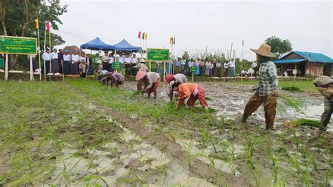 ဘိုကလေးမြို့နယ်တွင် ထွန်တုံးပိတ်ပွဲ အခမ်းအနား ကျင်းပ Information And