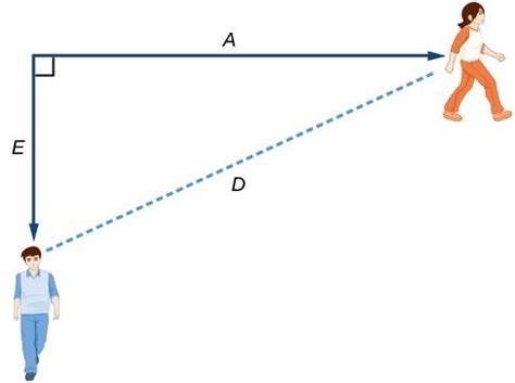 Study Guide Build Linear Models