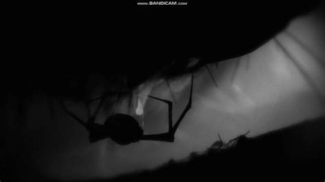 Explore The Best Bondage Art Deviantart