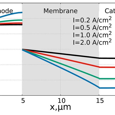 Simulated Steady State Hydration Number λ Across The Cell In Operation