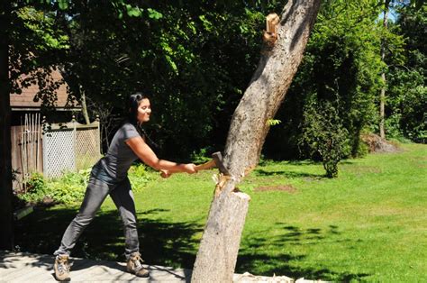 Things In Days Blog Archive Cut Down A Tree With An Axe