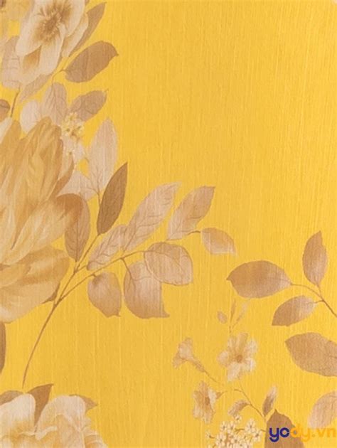 Pass đồ Là Gì Rủi Ro Và Lưu ý Khi Mua Lại đồ Cũ đồ Pass Yody