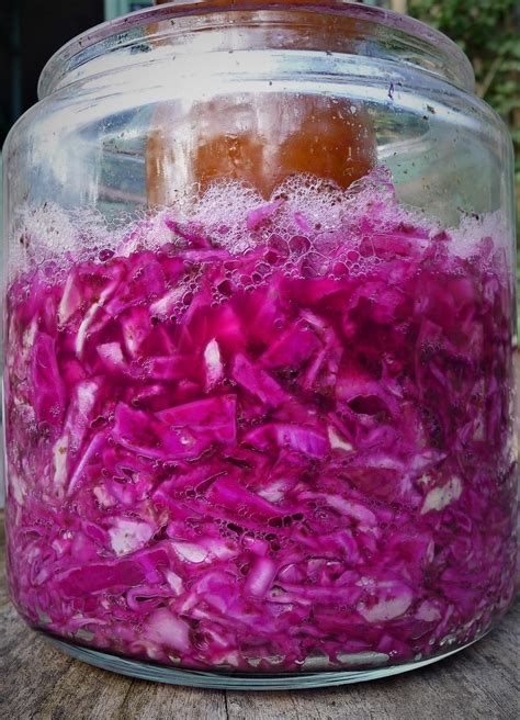 Pink Fermented Cabbage Aglaias Table οn Kea Cyclades