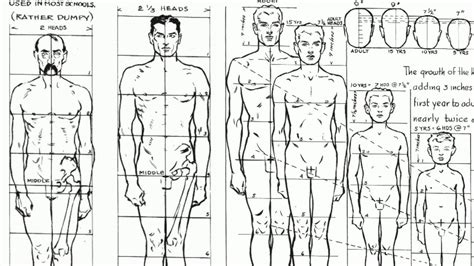 How To Draw BASICS Proportion YouTube