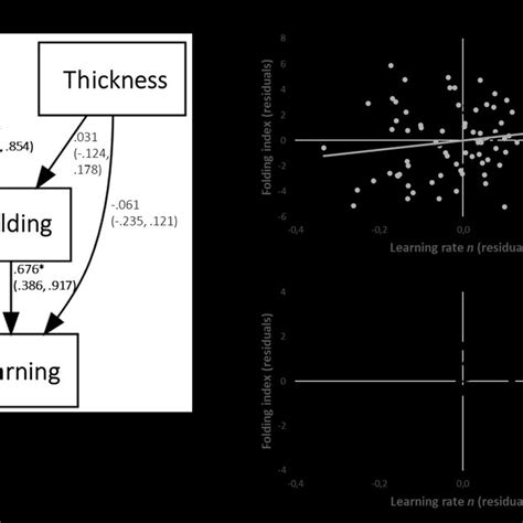 Cortical Folding Ties To Learning Rates Independent Of Cortical