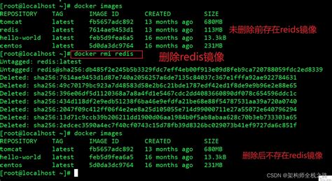一文讲明docker的基本使用，常见docker命令使用 、docker的安装使用等【详细说明图解概念实践】 阿里云开发者社区