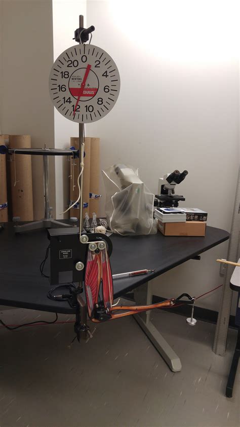 Human Arm Model Swarthmore Physics Demonstrations