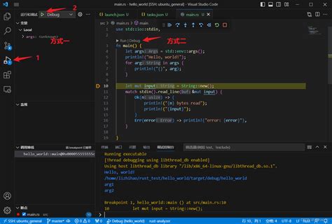 linux平台rust开发与vscode调试环境搭建 linux vscode rust csdn博客