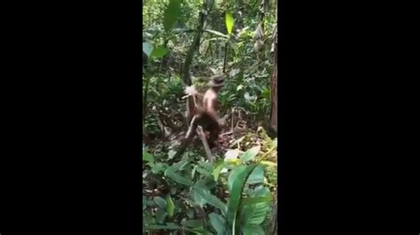 When You Spawn In A New Minecraft World YouTube