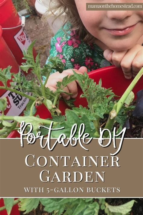 How To Set Up A DIY Bucket Container Garden Mama On The Homestead