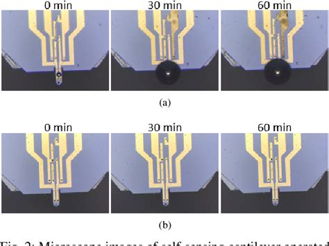 Figure 2 From Mechatronic Demodulation Of Self Sensing Cantilever For Dc Bias Free Afm Imaging