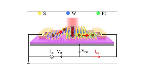 Type I Heterostructure Based On Ws2pts2 For High Performance Photodetectors Acs Applied