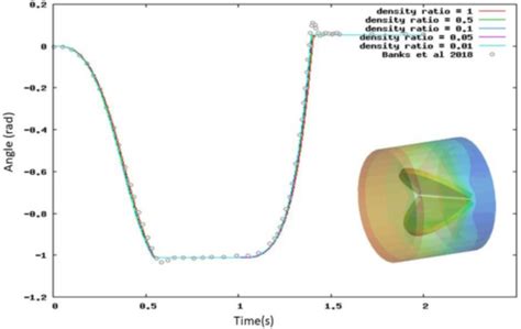capturing heart valve dynamics with implicit fluid structure
