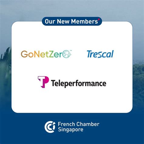 Gonetzero™ On Linkedin Europe Decarbonisation Gonetzero Netzero Renewableenergy