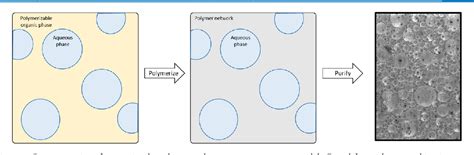 Figure 1 From Synthesis And Applications Of Elastomeric Polymerized High Internal Phase
