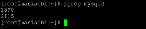 CentOS Kill Process Learn The Uncut Concept Of Centos Kill Process
