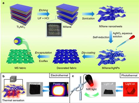 Schematic Illustration In Fabrication Process Of Ms Fabric A And Its
