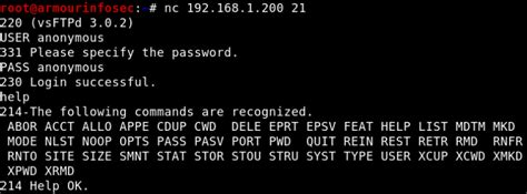 Hacking With Netcat A Comprehensive Guide Armour Infosec