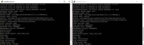 Configurando O Oracle Rac Na Cloud Oracle Brasil
