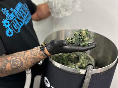 Unlocking The Secrets Maximize Your Bubble Hash Yields Triminator