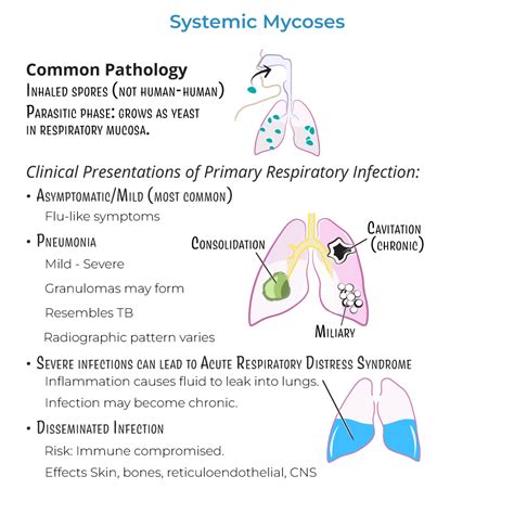 Immunology Microbiology Glossary Systemic Mycoses Ditki Medical And Biological Sciences
