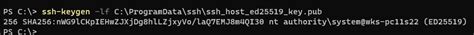 How To Ssh Into Windows 10 Or 11 From Remote Computer Theitbros