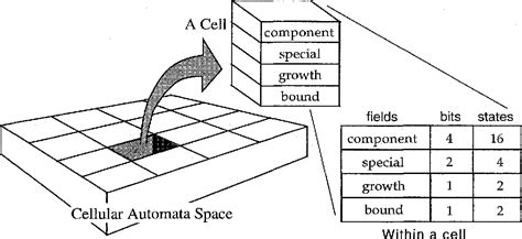 figure 2 from self replicating structures in a cellular automata space
