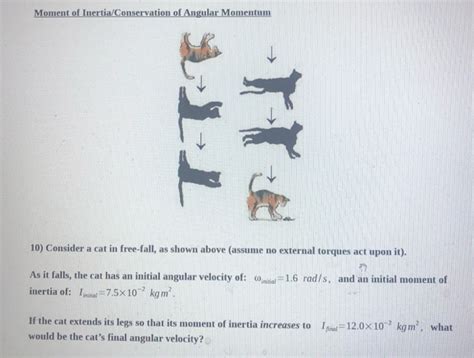 Solved Moment Of Inertia Conservation Of Angular Momentum Chegg