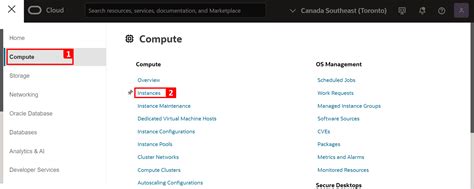 set up openvpn for remote access in a single region on oracle cloud