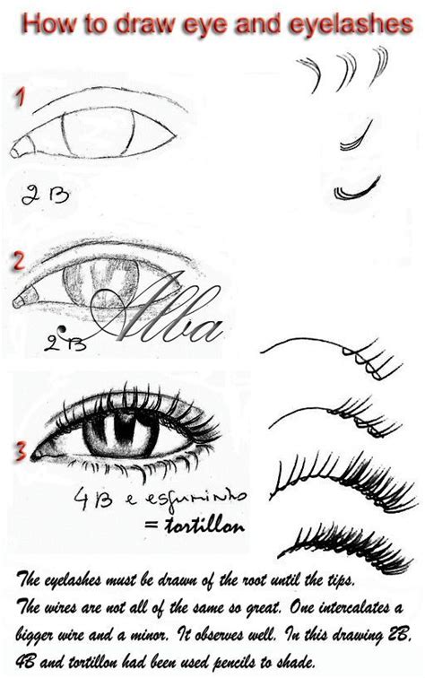How To Draw Realistic Eyelashes Step By Step