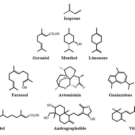 Three Dimensional Structure Of Isopentenyl Pyrophosphate Isomerase Download Scientific Diagram