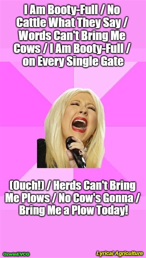 Wrong Lyrics Christina Aguilera Nowm Fix Meme Picker